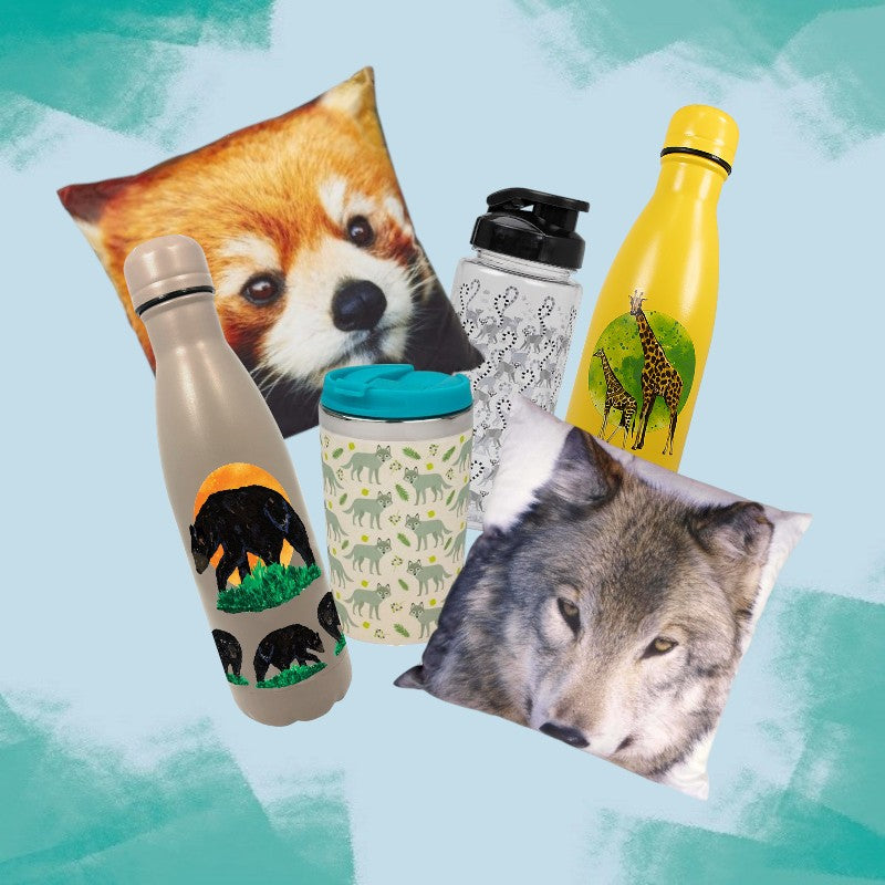 Bristol Zoo Project Gift Shop– Bristol Zoological Society