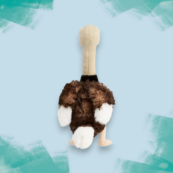 Super Soft Ostrich Soft Toy – Bristol Zoological Society